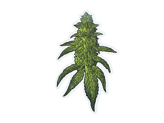 商品情報カラー（色について）撮影カメラやモニター発色の具合により色合いが異なる場合がございます素材ビニール（紙製ではありません）サイズ正確な数値を出すのが困難な形が多い為、1cmマスの画像などでご判断ください。THC ステッカー Buds ...