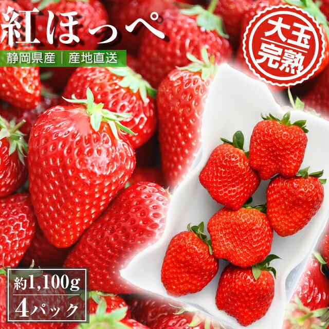 品名 大玉 「紅ほっぺ」 約1,100g 商品紹介 静岡県人気品種の「紅ほっぺ」です。 絶妙なバランスの甘味と酸味があり、コクのあるジューシーな味わいです。 ツヤがあり、鮮やかな赤色が美しい外観をしているので、ご自宅用はもちろん贈答品として...