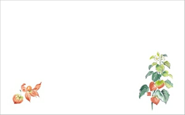 ◆サイズ：260×380mm ◆感想をお聞かせ下さい！（レビューのご記入について）◆ 　 レビューはお届け後の記入でOKです。 （商品発送メール後できれば5日以内にお書きくださいます様お願いいたします） レビュー記入で割引等の特典がございま...