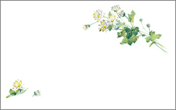 ◆サイズ：260×380mm ◆感想をお聞かせ下さい！（レビューのご記入について）◆ 　 レビューはお届け後の記入でOKです。 （商品発送メール後できれば5日以内にお書きくださいます様お願いいたします） レビュー記入で割引等の特典がございま...