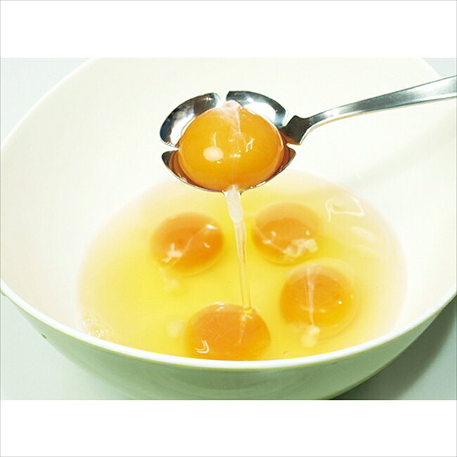 ■商品内容：約175×48×15mm（約35g） ■パッケージサイズ：台紙サイズ／約250×110×16mm ■重量：約42g メーカー希望小売価格はメーカーカタログに基づいて掲載しています ■さまざまなギフトアイテムをご用意しております。...
