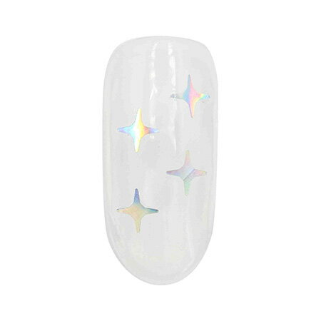 キラキラ感を視覚で感じる事のできる可愛らしいホログラムです。 デザインに合わせてお好みのカラーをお選び下さい。 カラー：シルバー 縦約4mm×横約4mm 内容量：0.5g 　