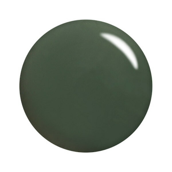 【必ずベースジェルを一層塗布した上からご使用ください】 高野尚子プロデュース 「T−GEL　COLLECTION」 今までにない発色の良さでラインが引けるカーキ。 品番：D165 カラー：カーキライナー 内容量：4ml 硬化時間：UV約1分...