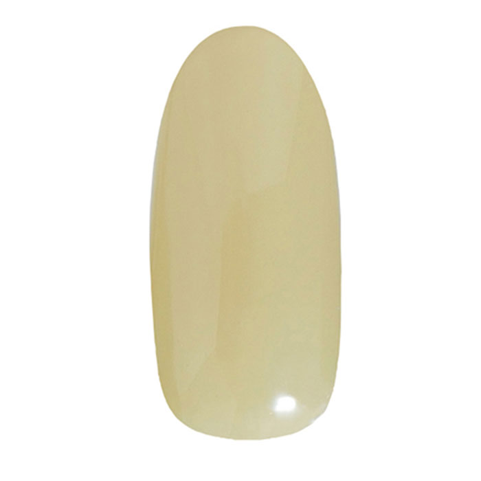 【必ずベースジェルを一層塗布した上からご使用ください】 プリジェルミューズは 「縮まない」 「ノンストレスなレべリング」 「薄塗りも厚塗りも完全硬化」 「もちろん発色も良い」 というプリジェルのさらに先を行く まったく新しいカラージェルライ...