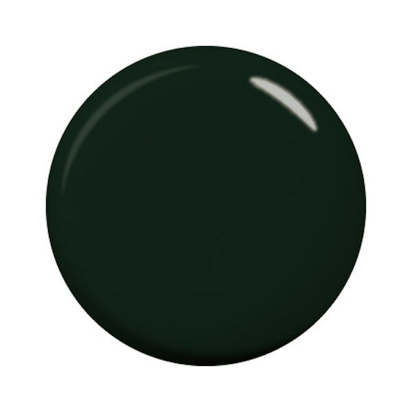 【必ずベースジェルを一層塗布した上からご使用ください】 高級顔料を使用しているため発色が良いクリアなカラージェルです 柔らかいテクスチャーで塗りやすくなっています。 濃く緑がかった樹木を連想させる鮮やかさと深みの両方を併せもつグリーン。 品...