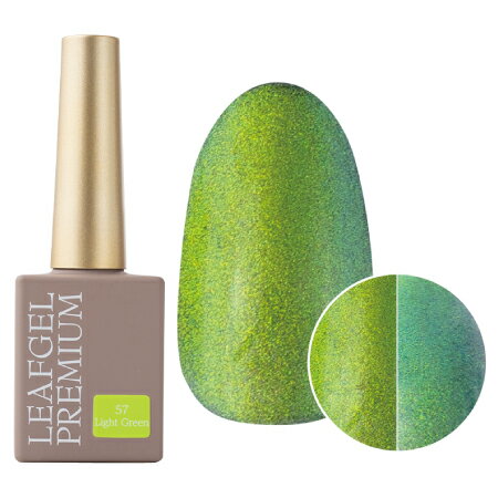 【必ずベースジェルを一層塗布した上からご使用ください】 『マグネットムービングエフェクトジェルSpace Opera Faraway』 つい指先を動かしたくなるような角度によって色が変化する カラフルで幻想的に仕上がるカラー 微細なマグネッ...