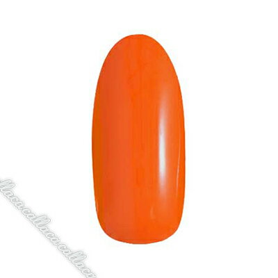 EXカラーの中でもテクスチャーの違うアート専用カラーです。 一度描いたアートがいつまでもとどまる独特の質感で、クッキリとハッキリと細やかなアートを描けます。 【品番・カラー】ライナー橙　PG−CEL19 【内容量・備考】3g　ソフトジェルタ...