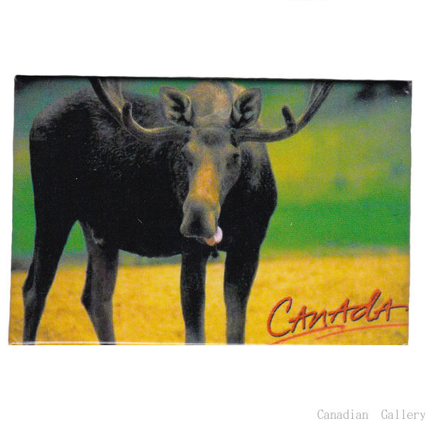 商　品　名 ●マグネット サ　イ　ズ ●(約)7.8cm×5.3cm 重　さ ●(約)30g 材　質 ●表面：スチール製、裏面：ラバーマグネット 原　産　国 ●中国 有料お土産袋 ●有料でお土産袋を買うことができます。 ●当店は『カナダ国旗...