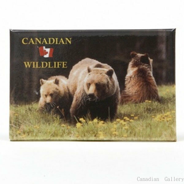 商　品　名 ●マグネット サ　イ　ズ ●(約)7.8cm×5.3cm 重　さ ●(約)30g 材　質 ●表面：スチール製、裏面：ラバーマグネット 原　産　国 ●中国 有料お土産袋 ●有料でお土産袋を買うことができます。 ●当店は『カナダ国旗...