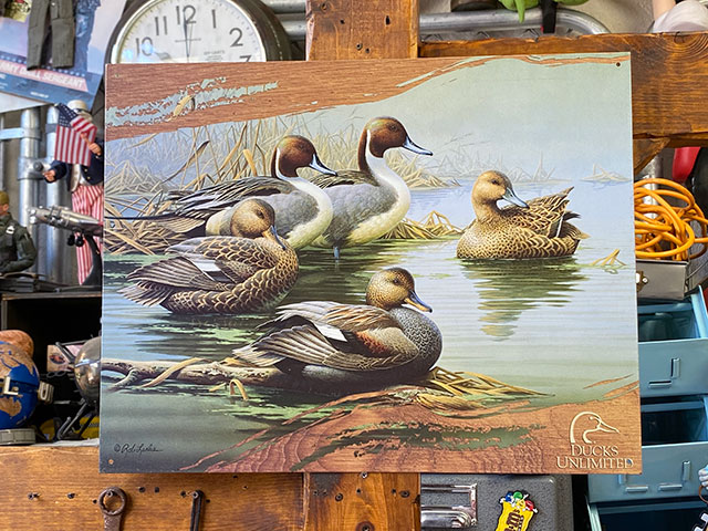 よく一緒に購入されている商品ハンギング　ドラム缶ポット　　アメリカン雑貨　638円世界のお酒　3Dパブサイン　　看板　アメリカン3,960円アメリカのプラスチックサインボード　ヘビーオン2,310円水鳥や野鳥静物の生息地の保全などをしてきた...