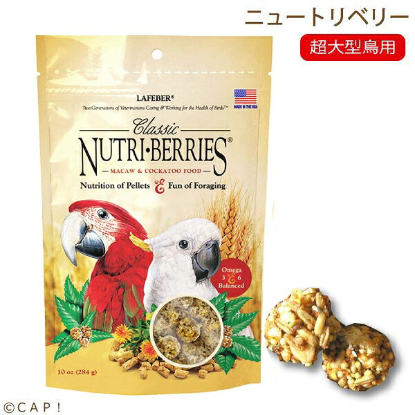 シードや穀物を蜜で固めたおこし状のおやつです。 シード類は外皮を取り除いてからビタミンやミネラルをコーティングしているので、確実に栄養を摂取できます。 バランスの取れたオメガ脂肪酸は免疫機能を高めます。 ニュートリベリーにはオメガ3と6の脂...