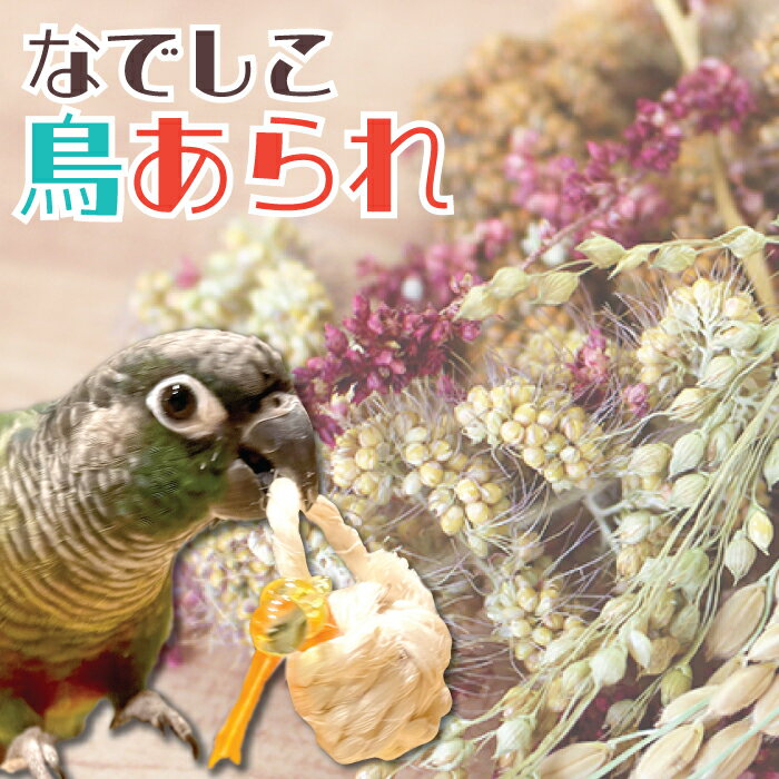 "大和撫子"な鳥さんに……　ひな祭りやホワイトデーのギフトにぴったり♪ コロンとカラフルなあられをイメージした和モダンな穂の実アソート。 華やかな着物を着ているような可愛い鳥さんにピッタリの小さな利休バッグ付きです♪ おやつだけじゃ足りない...