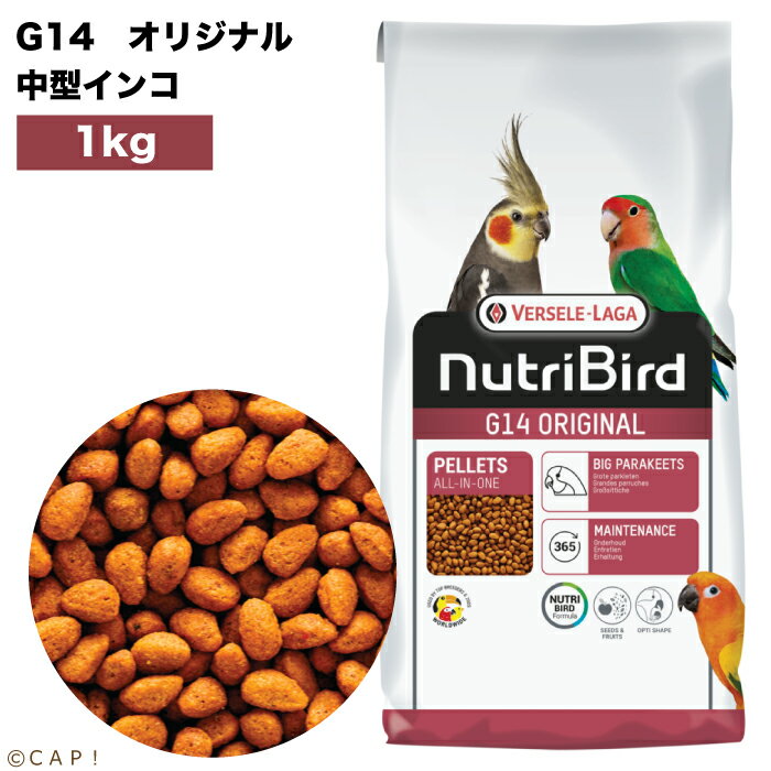 サイズ：約8x5mmの俵型。 メンテナンスタイプ。 あなたの鳥が必要とする全ての栄養素を含む化学的に承認された食事。 完全に消費可能で選択的摂食行動を防ぎます。 高品質で完全に吸収されるため、穀物や種子を与える場合よりも給与量を最大1/3程...