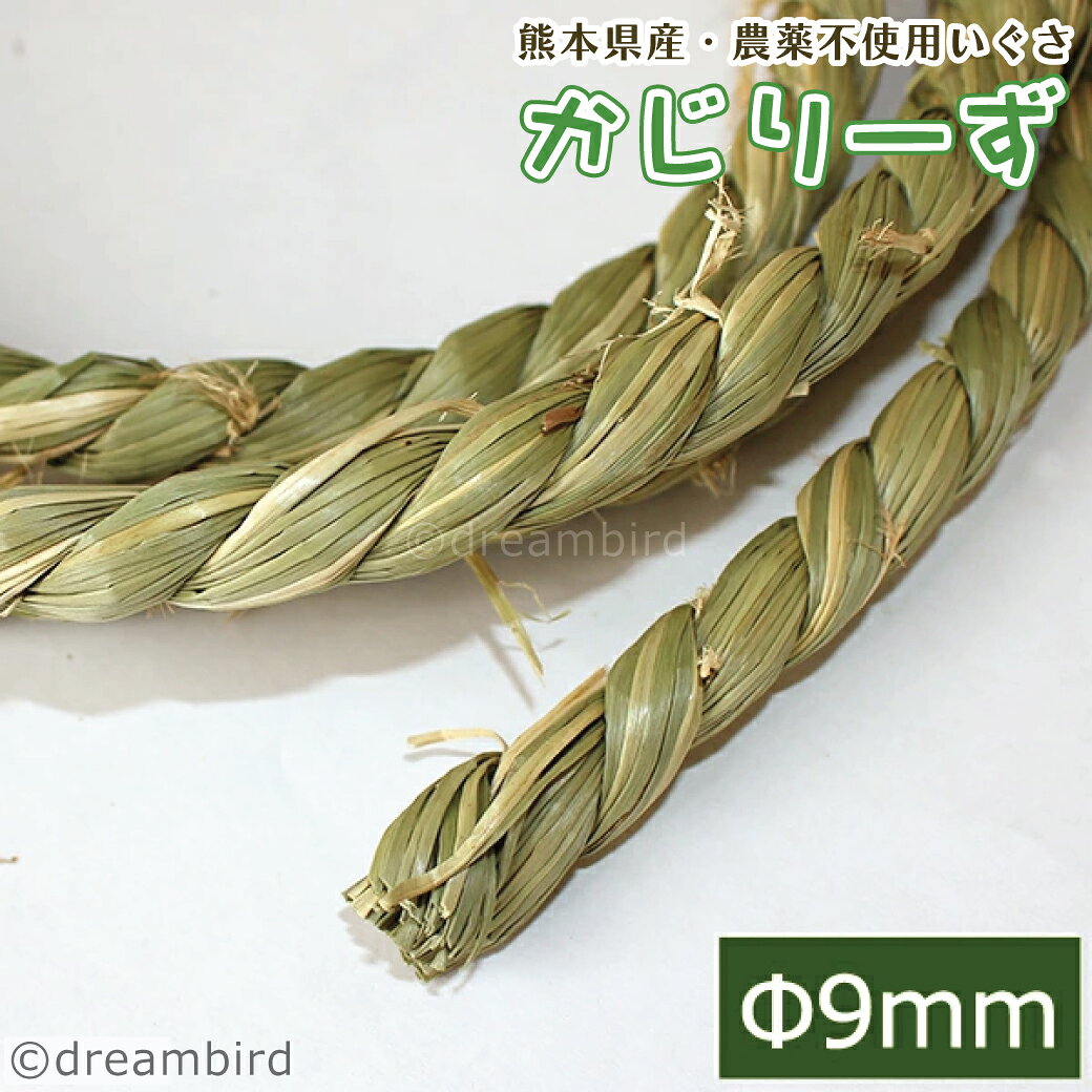 栽培時農薬不使用のいぐさでつくったロープ（直径9mm）です。 長さ2mでパッケージ入りです。 ロープは鳥さんのおもちゃづくりにおすすめです。 ほかにも、ケージに巻きつけて”ケージかじり”の防止や緩和にぜひお役立てください。 いぐさには乾燥し...