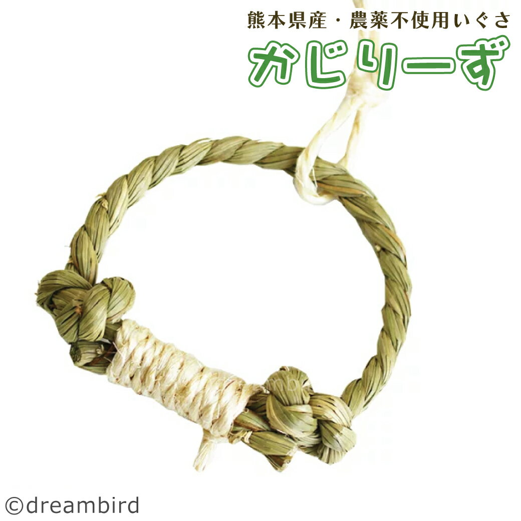 農薬不使用のい草を使用しました。 一つ一つ手づくりの安心おもちゃです。 ゆらゆらゆれて、しかもかじかじできるいぐさブランコ。 ブランコ部分はいぐさ、足場・ケージへのとりつけ用にはサイザル麻ロープを使用。 ケージ天井にサイザル麻ロープを結んで...