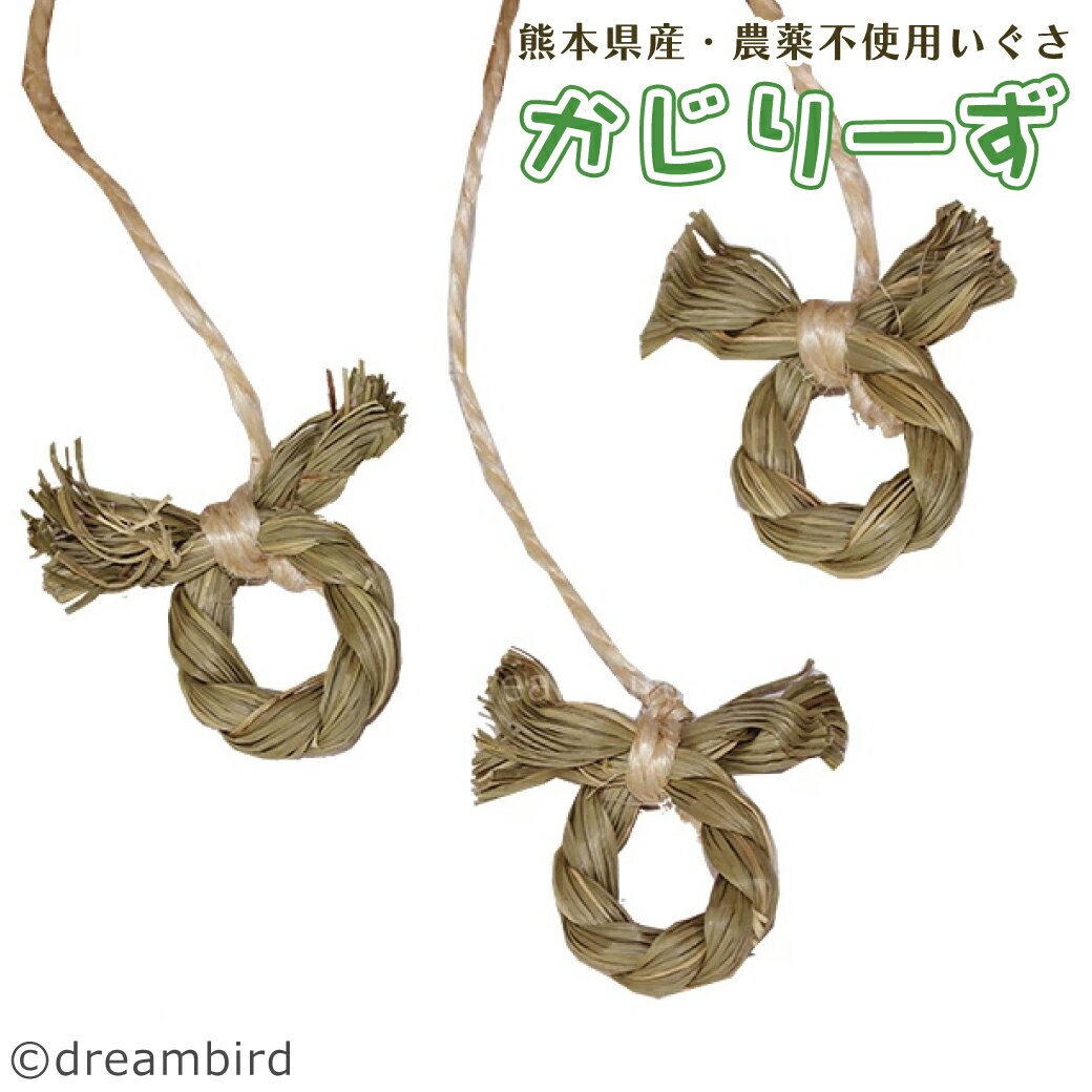 農薬不使用のい草とサイザル麻を使用しました。 一つ一つ手づくりの安心おもちゃです。 びぎなーず3のリングのおもちゃだけを3つ揃えました。 リングが大好き！という動物さんにたっぷりリング三昧していただけます。 取り付けひもがついています。 動...