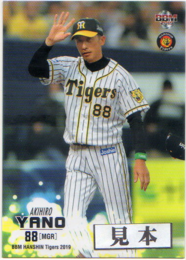 【選択カ−ド】 BBM2019 阪神タイガース レギュラーカード 100円カード No 選手名 No 選手名 No 選手名 T02 岡本洋介 T32 岩崎優 T65 島田海吏 T06 馬場皐輔 T33 島本浩也 T67 板山祐太郎 T11 ...