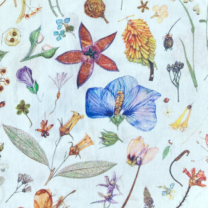 リバティ 生地 Floral Eve フローラル・イブ DE 国産 タナローン ボタニカル柄 花柄 白地 マルチカラー Liberty Fabrics 50cm単位【2021年 新エターナル】 Floral Eve フローラルイヴ リバティ...