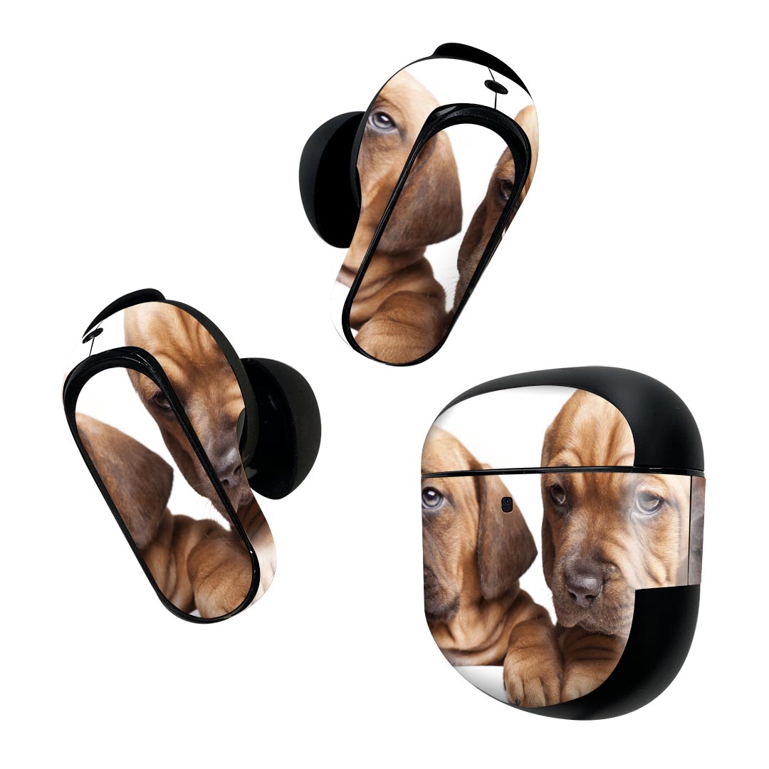 製品名 Bose QuietComfort Earbuds II 専用デザインスキンシール セット内容 Bose QuietComfort Earbuds II 専用シール　イヤホン（左右）3枚、充電ケース用シール 1枚AirPods第3世...