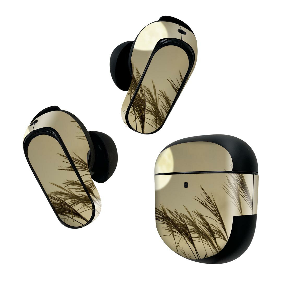 製品名 Bose QuietComfort Earbuds II 専用デザインスキンシール セット内容 Bose QuietComfort Earbuds II 専用シール　イヤホン（左右）3枚、充電ケース用シール 1枚AirPods第3世...