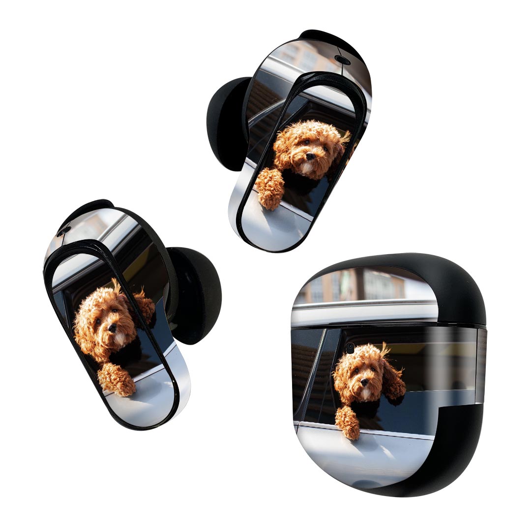 製品名 Bose QuietComfort Earbuds II 専用デザインスキンシール セット内容 Bose QuietComfort Earbuds II 専用シール　イヤホン（左右）3枚、充電ケース用シール 1枚AirPods第3世...