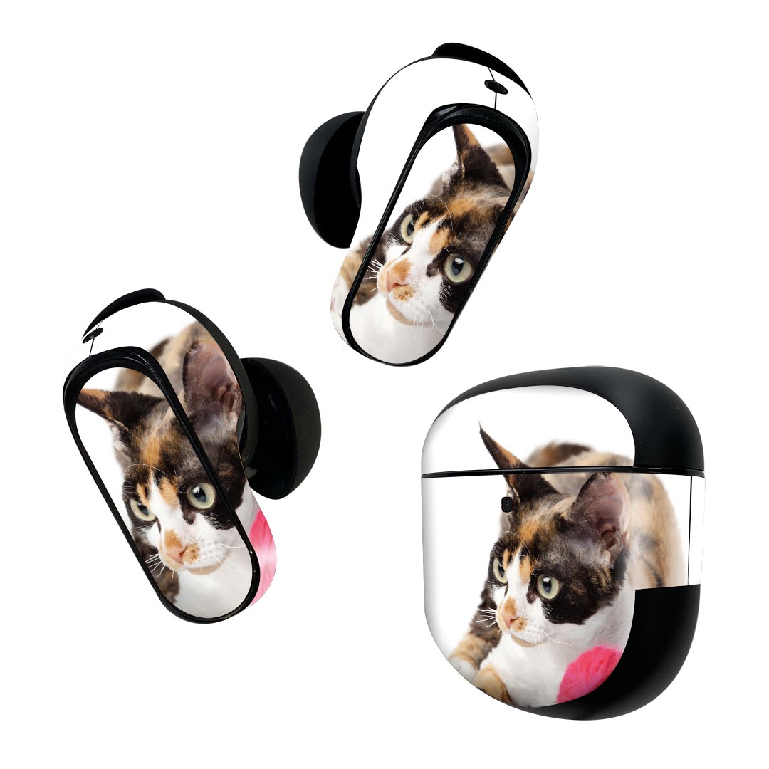 製品名 Bose QuietComfort Earbuds II 専用デザインスキンシール セット内容 Bose QuietComfort Earbuds II 専用シール　イヤホン（左右）3枚、充電ケース用シール 1枚AirPods第3世...