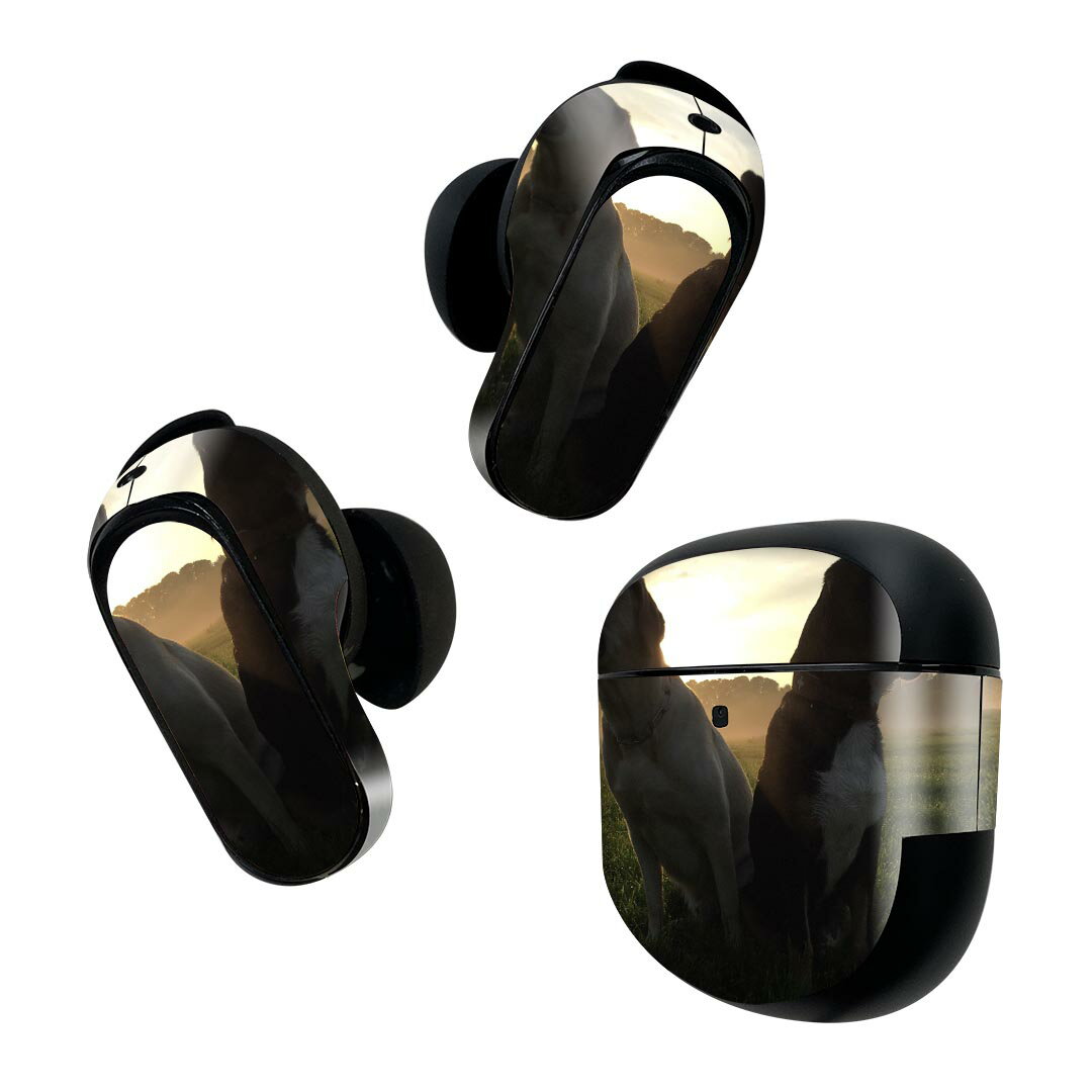 製品名 Bose QuietComfort Earbuds II 専用デザインスキンシール セット内容 Bose QuietComfort Earbuds II 専用シール　イヤホン（左右）3枚、充電ケース用シール 1枚AirPods第3世...