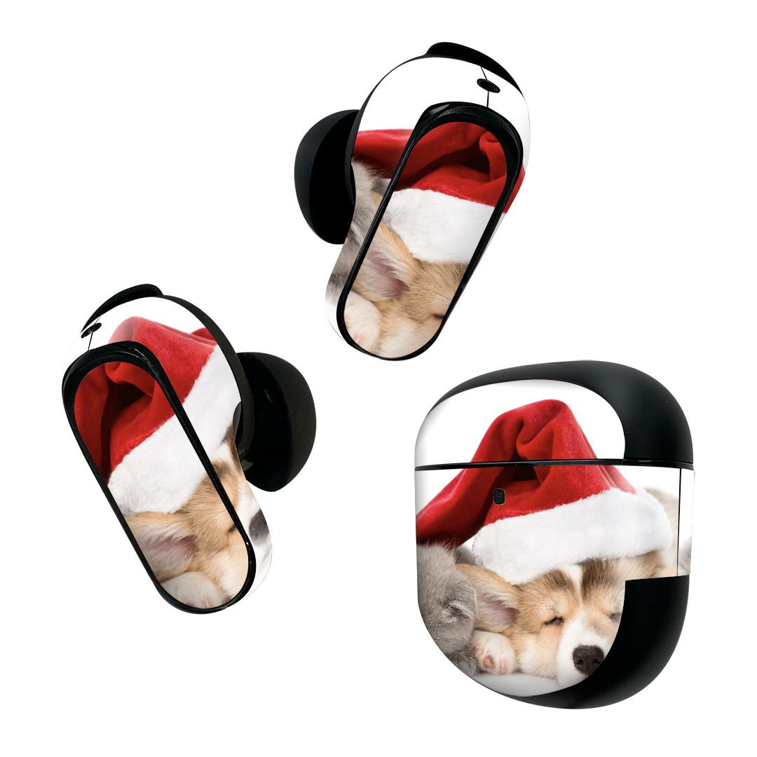 製品名 Bose QuietComfort Earbuds II 専用デザインスキンシール セット内容 Bose QuietComfort Earbuds II 専用シール　イヤホン（左右）3枚、充電ケース用シール 1枚AirPods第3世...