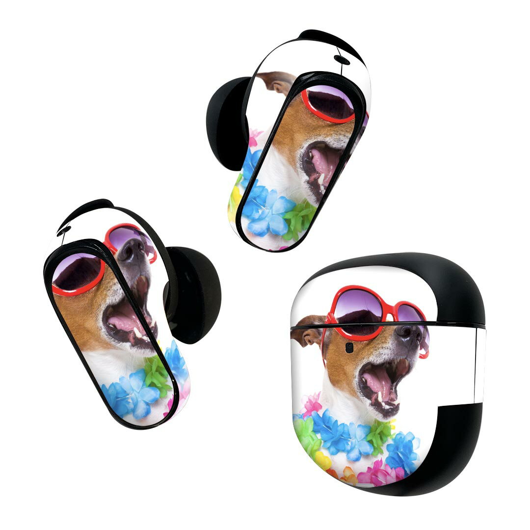 製品名 Bose QuietComfort Earbuds II 専用デザインスキンシール セット内容 Bose QuietComfort Earbuds II 専用シール　イヤホン（左右）3枚、充電ケース用シール 1枚AirPods第3世...