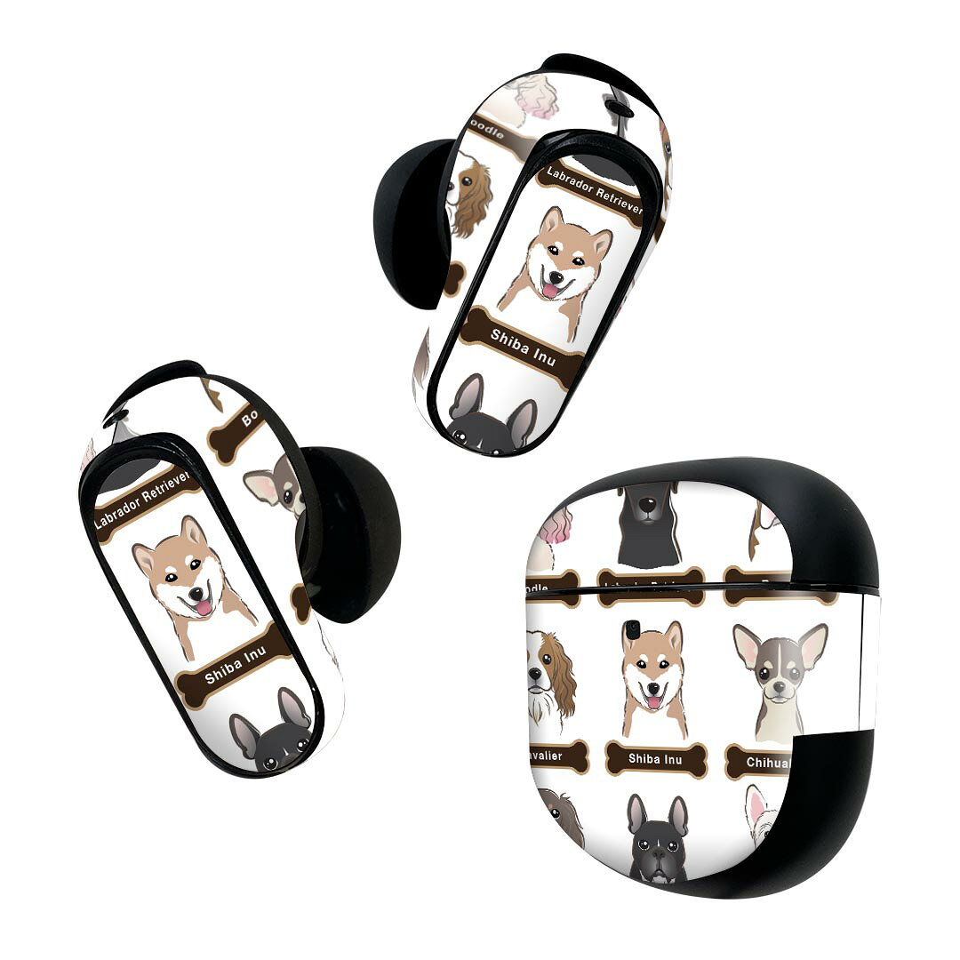 製品名 Bose QuietComfort Earbuds II 専用デザインスキンシール セット内容 Bose QuietComfort Earbuds II 専用シール　イヤホン（左右）3枚、充電ケース用シール 1枚AirPods第3世...