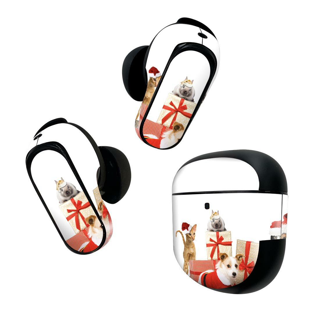 製品名 Bose QuietComfort Earbuds II 専用デザインスキンシール セット内容 Bose QuietComfort Earbuds II 専用シール　イヤホン（左右）3枚、充電ケース用シール 1枚AirPods第3世...