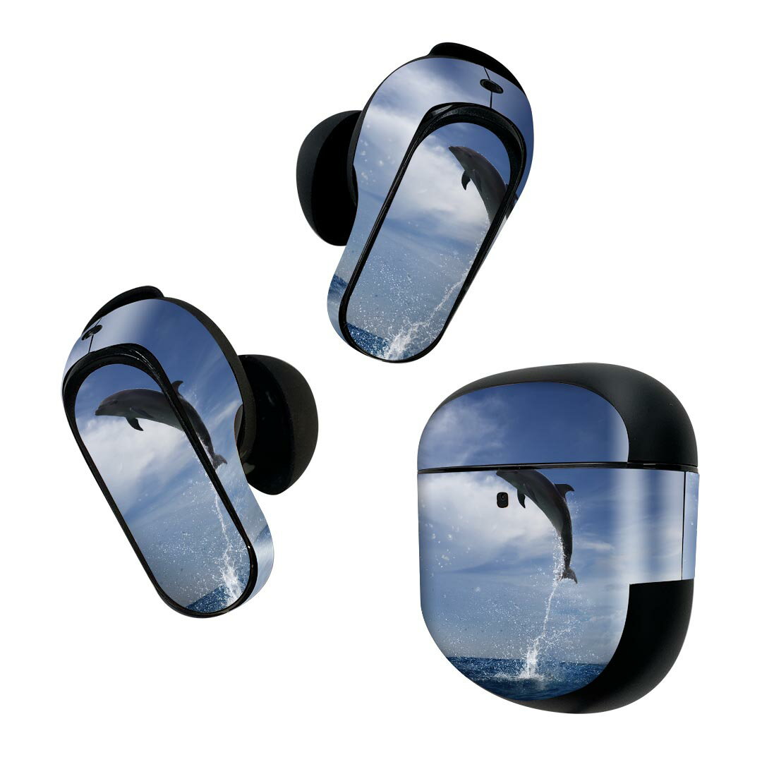 製品名 Bose QuietComfort Earbuds II 専用デザインスキンシール セット内容 Bose QuietComfort Earbuds II 専用シール　イヤホン（左右）3枚、充電ケース用シール 1枚AirPods第3世...