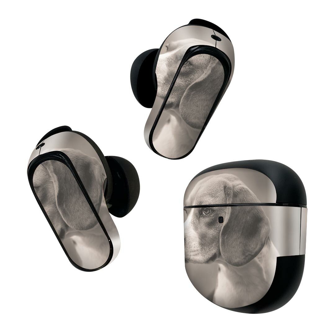 製品名 Bose QuietComfort Earbuds II 専用デザインスキンシール セット内容 Bose QuietComfort Earbuds II 専用シール　イヤホン（左右）3枚、充電ケース用シール 1枚AirPods第3世...
