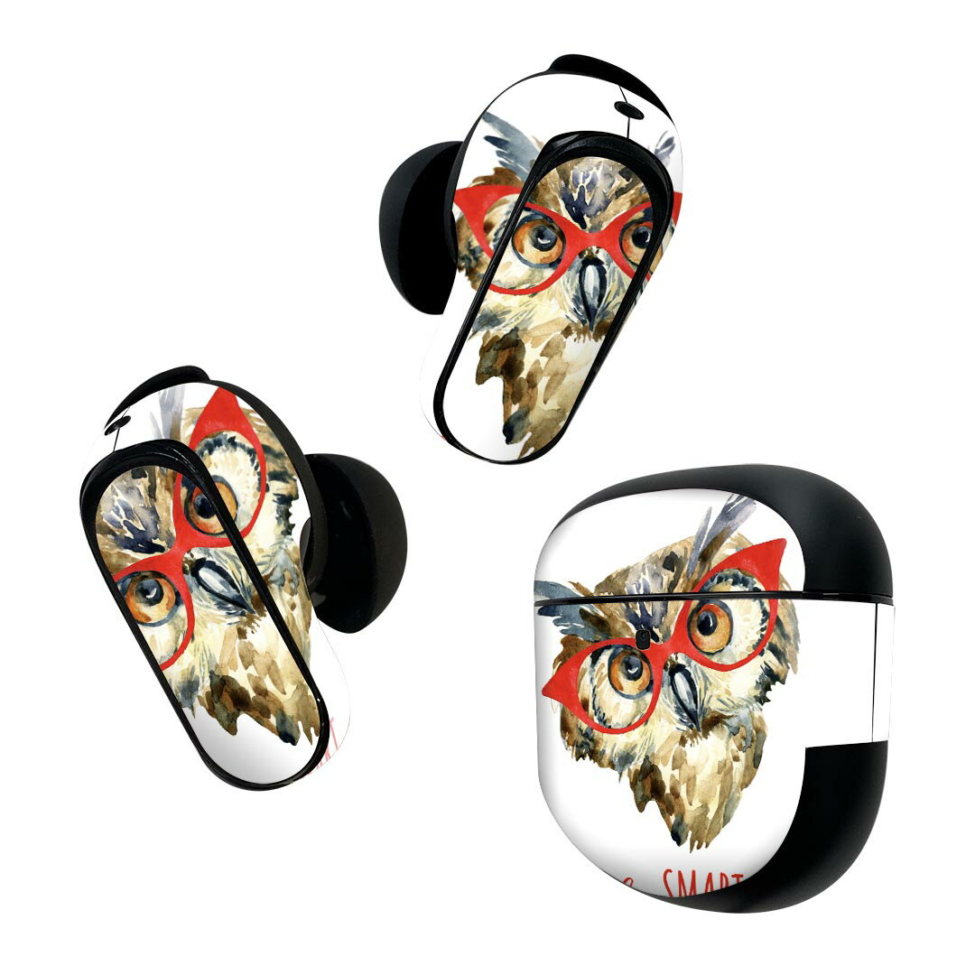 製品名 Bose QuietComfort Earbuds II 専用デザインスキンシール セット内容 Bose QuietComfort Earbuds II 専用シール　イヤホン（左右）3枚、充電ケース用シール 1枚AirPods第3世...
