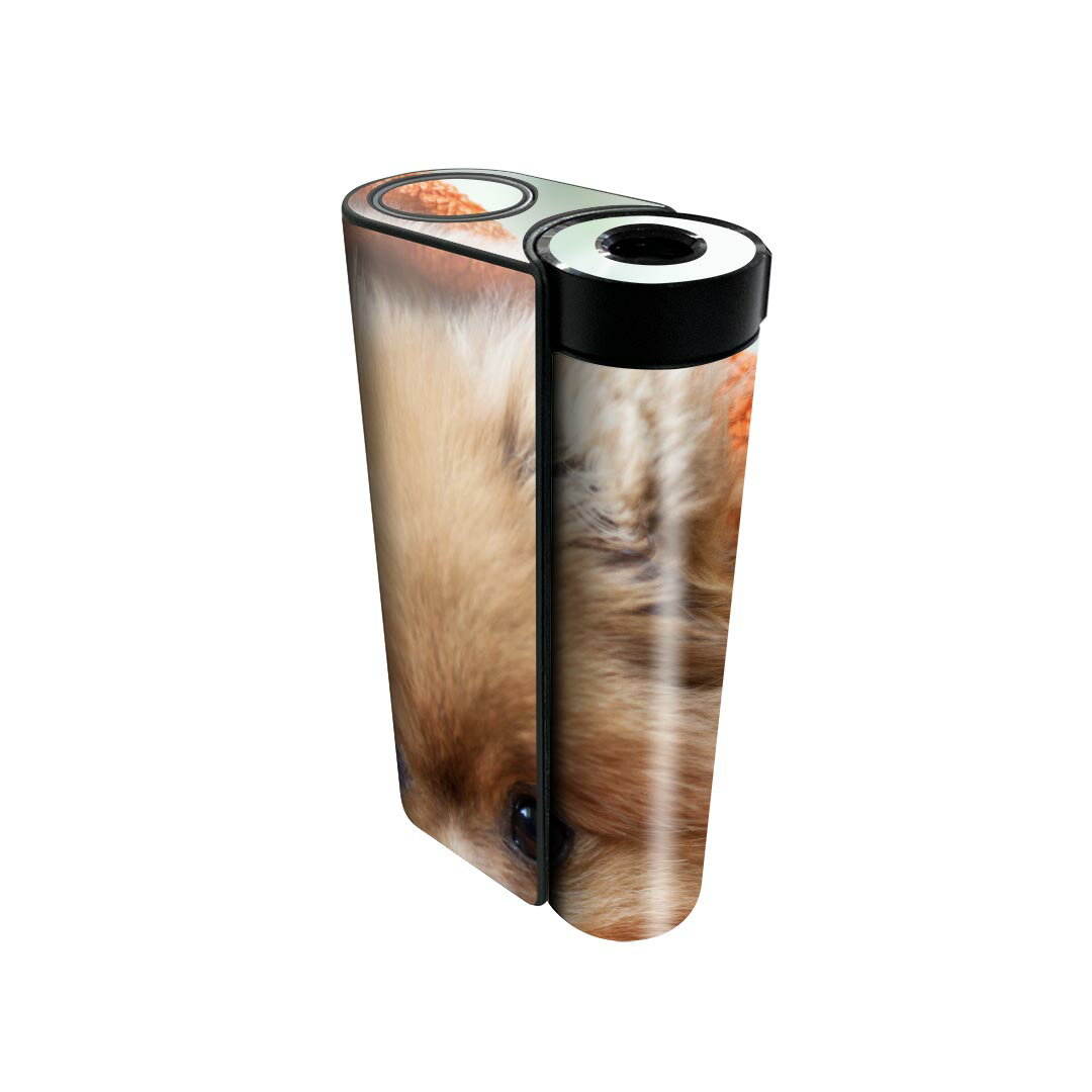 商品特徴・貼るだけでかんたん着せ替え、glo hyperx2 専用デザインスキンシール・高精細プリントで写真と遜色のない仕上がり！半光沢シートでしっとりツヤのある表現力・正面に加え、天面・底面シールがセットで一体感アップ！・ちょっとしたすり...