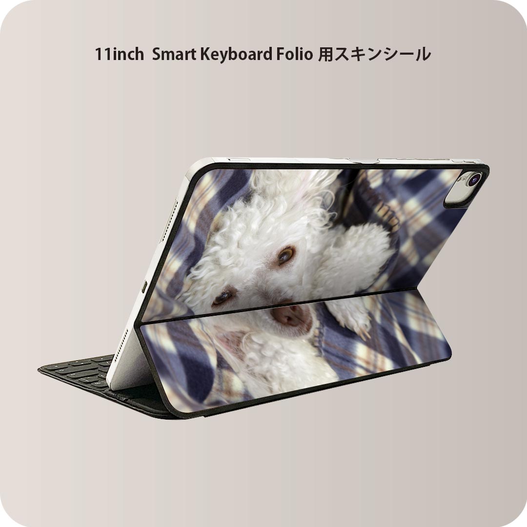 商品特徴・貼るだけでおしゃれに簡単着せ替え、iPad 11inch用 Smart Keyboard Folio 全面デザインスキンシール！・高精細プリントで写真と遜色がない仕上がり！・ちょっとしたすり傷から端末を保護！・「裸で持つ派」の人に...