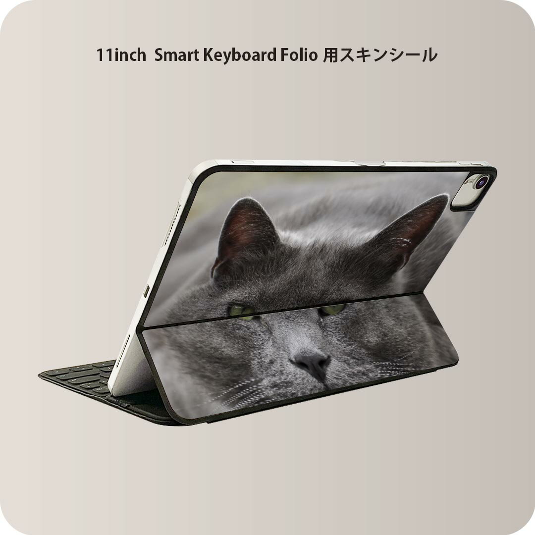 商品特徴・貼るだけでおしゃれに簡単着せ替え、iPad 11inch用 Smart Keyboard Folio 全面デザインスキンシール！・高精細プリントで写真と遜色がない仕上がり！・ちょっとしたすり傷から端末を保護！・「裸で持つ派」の人に...