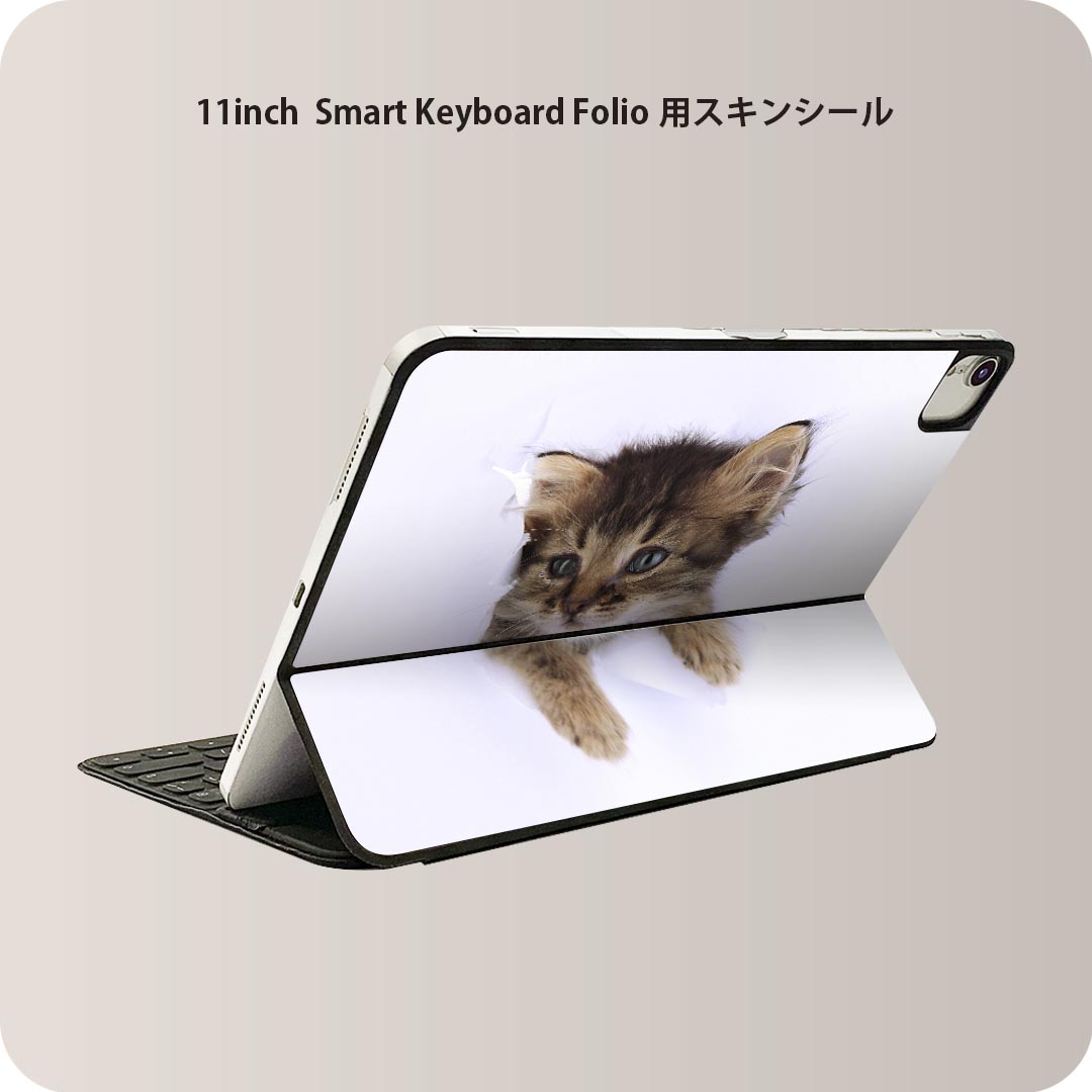 商品特徴・貼るだけでおしゃれに簡単着せ替え、iPad 11inch用 Smart Keyboard Folio 全面デザインスキンシール！・高精細プリントで写真と遜色がない仕上がり！・ちょっとしたすり傷から端末を保護！・「裸で持つ派」の人に...