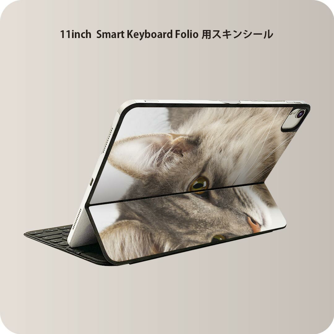 商品特徴・貼るだけでおしゃれに簡単着せ替え、iPad 11inch用 Smart Keyboard Folio 全面デザインスキンシール！・高精細プリントで写真と遜色がない仕上がり！・ちょっとしたすり傷から端末を保護！・「裸で持つ派」の人に...