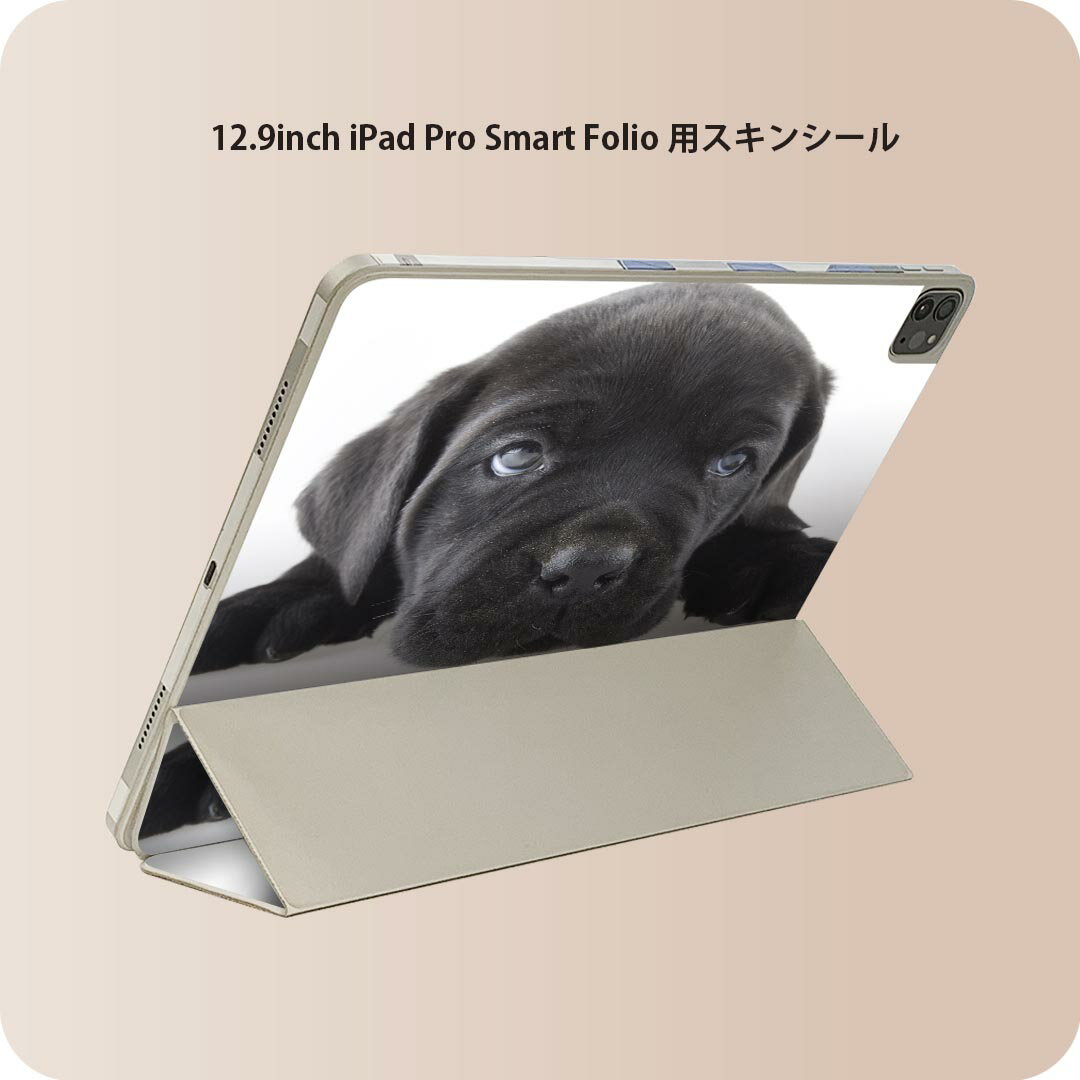 商品特徴・貼るだけでおしゃれに簡単着せ替え、iPad Smart Folio 用 12.9インチ 全面デザインスキンシール！・高精細プリントで写真と遜色がない仕上がり！・ちょっとしたすり傷から端末を保護！・「裸で持つ派」の人にはもちろん、お...