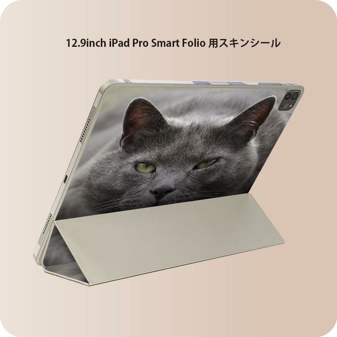 商品特徴・貼るだけでおしゃれに簡単着せ替え、iPad Smart Folio 用 12.9インチ 全面デザインスキンシール！・高精細プリントで写真と遜色がない仕上がり！・ちょっとしたすり傷から端末を保護！・「裸で持つ派」の人にはもちろん、お...