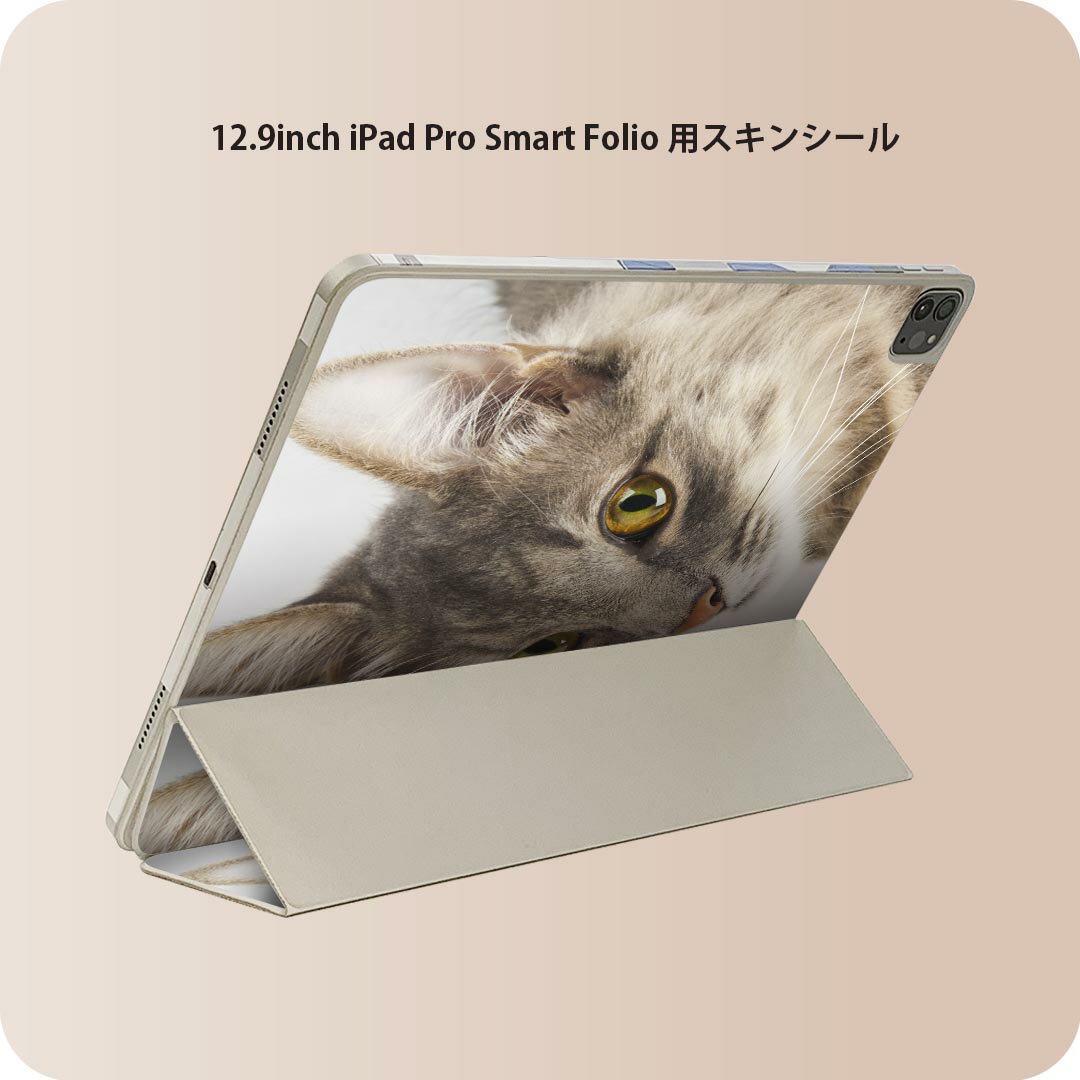 商品特徴・貼るだけでおしゃれに簡単着せ替え、iPad Smart Folio 用 12.9インチ 全面デザインスキンシール！・高精細プリントで写真と遜色がない仕上がり！・ちょっとしたすり傷から端末を保護！・「裸で持つ派」の人にはもちろん、お...