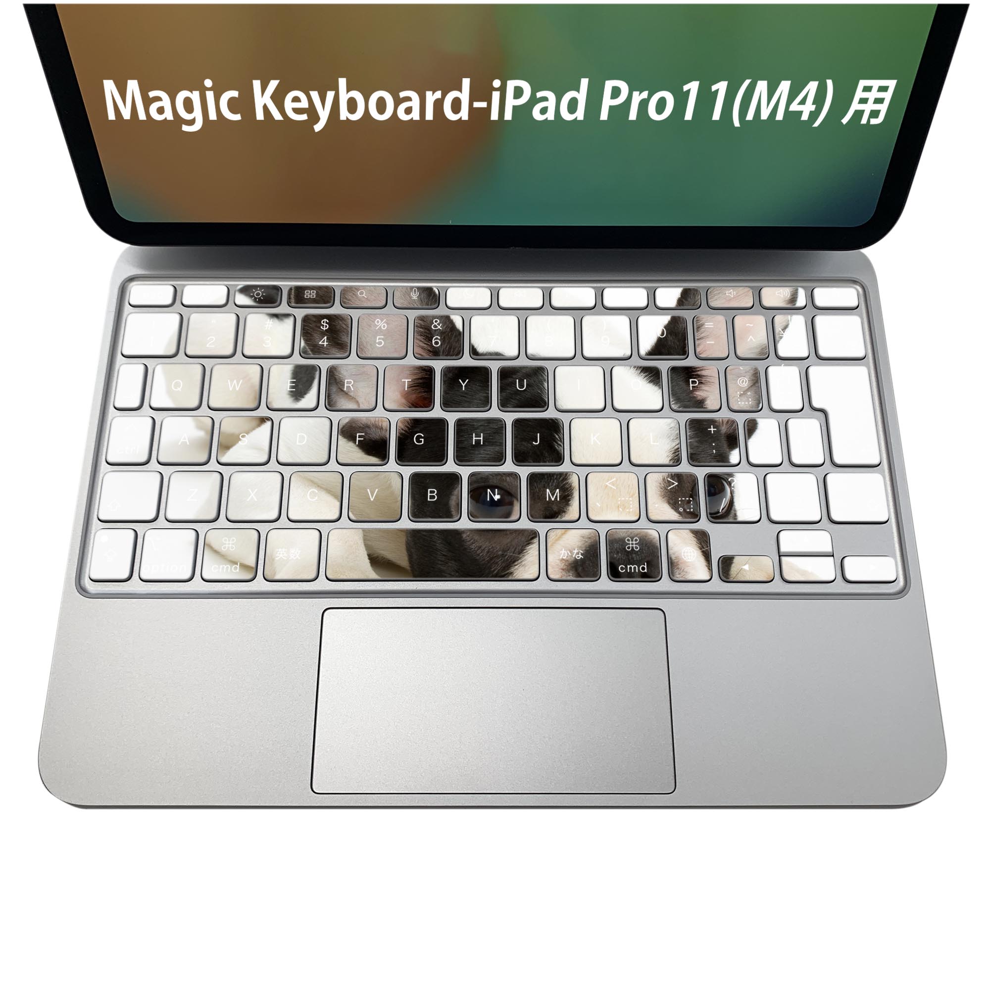 商品特徴・貼るだけでおしゃれに簡単着せ替え、iPadPro11・13（M4）Magic Keyboard KeyTop &nbsp; 全面デザインスキンシール！組み合わせ自由に選べるセット売り！・高精細プリントで写真と遜色がない仕上がり！ ...