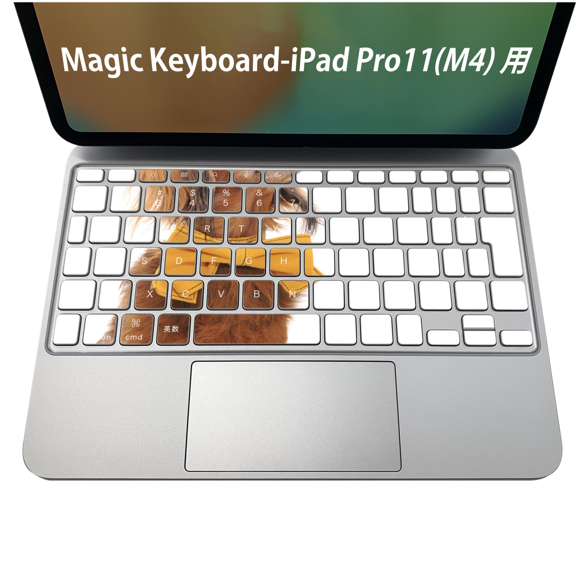 商品特徴・貼るだけでおしゃれに簡単着せ替え、iPadPro11・13（M4）Magic Keyboard KeyTop &nbsp; 全面デザインスキンシール！組み合わせ自由に選べるセット売り！・高精細プリントで写真と遜色がない仕上がり！ ...