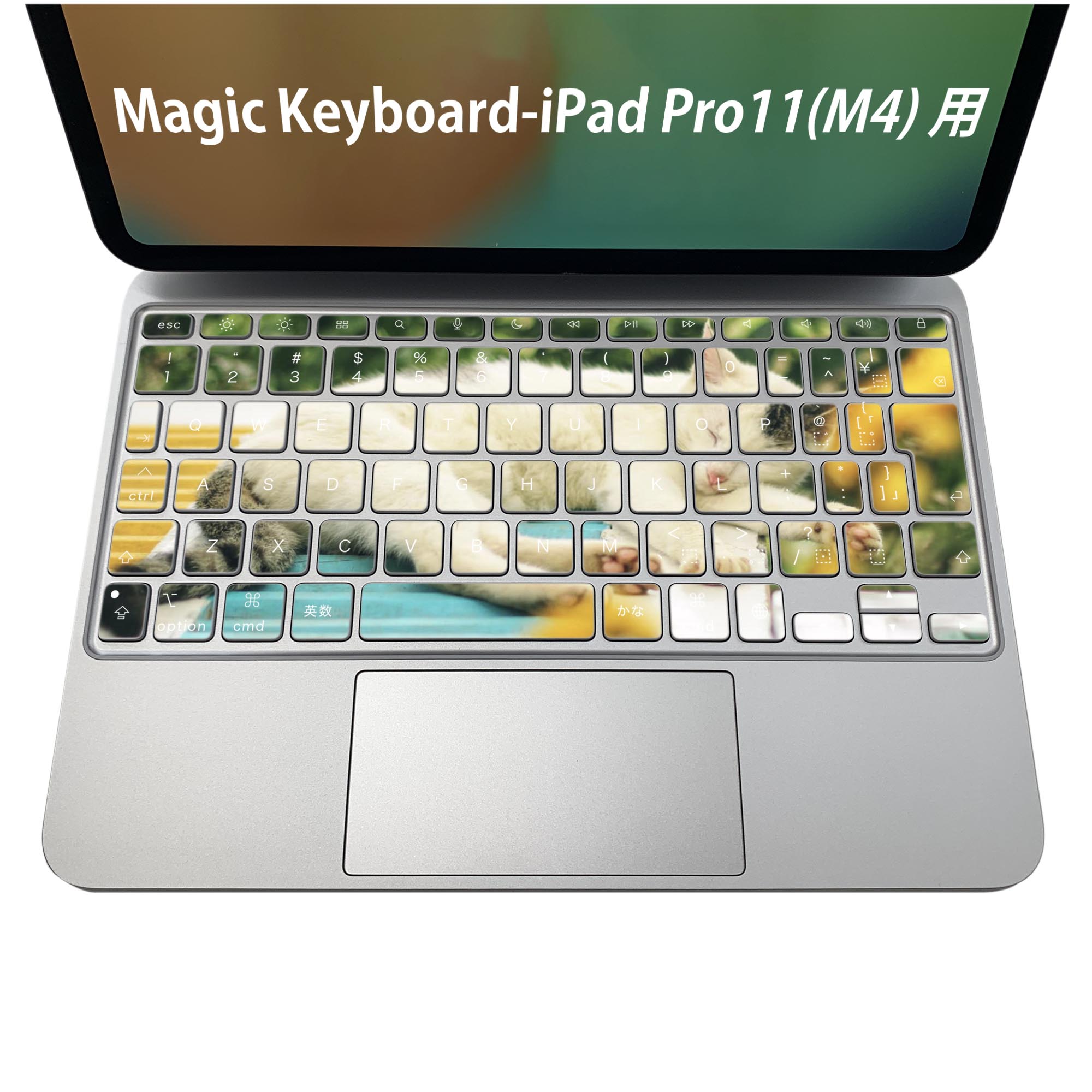 商品特徴・貼るだけでおしゃれに簡単着せ替え、iPadPro11・13（M4）Magic Keyboard KeyTop &nbsp; 全面デザインスキンシール！組み合わせ自由に選べるセット売り！・高精細プリントで写真と遜色がない仕上がり！ ...