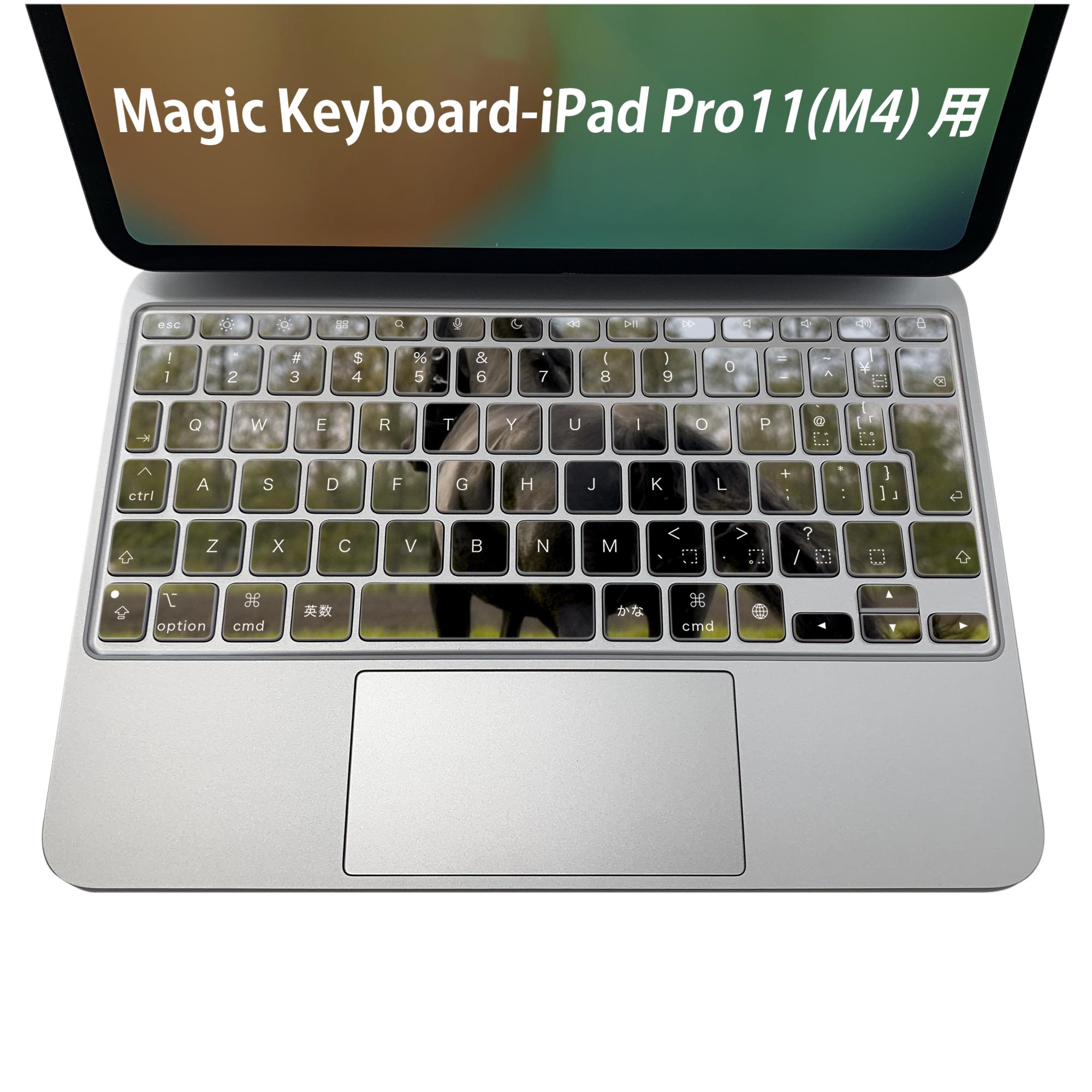 商品特徴・貼るだけでおしゃれに簡単着せ替え、iPadPro11・13（M4）Magic Keyboard KeyTop &nbsp; 全面デザインスキンシール！組み合わせ自由に選べるセット売り！・高精細プリントで写真と遜色がない仕上がり！ ...