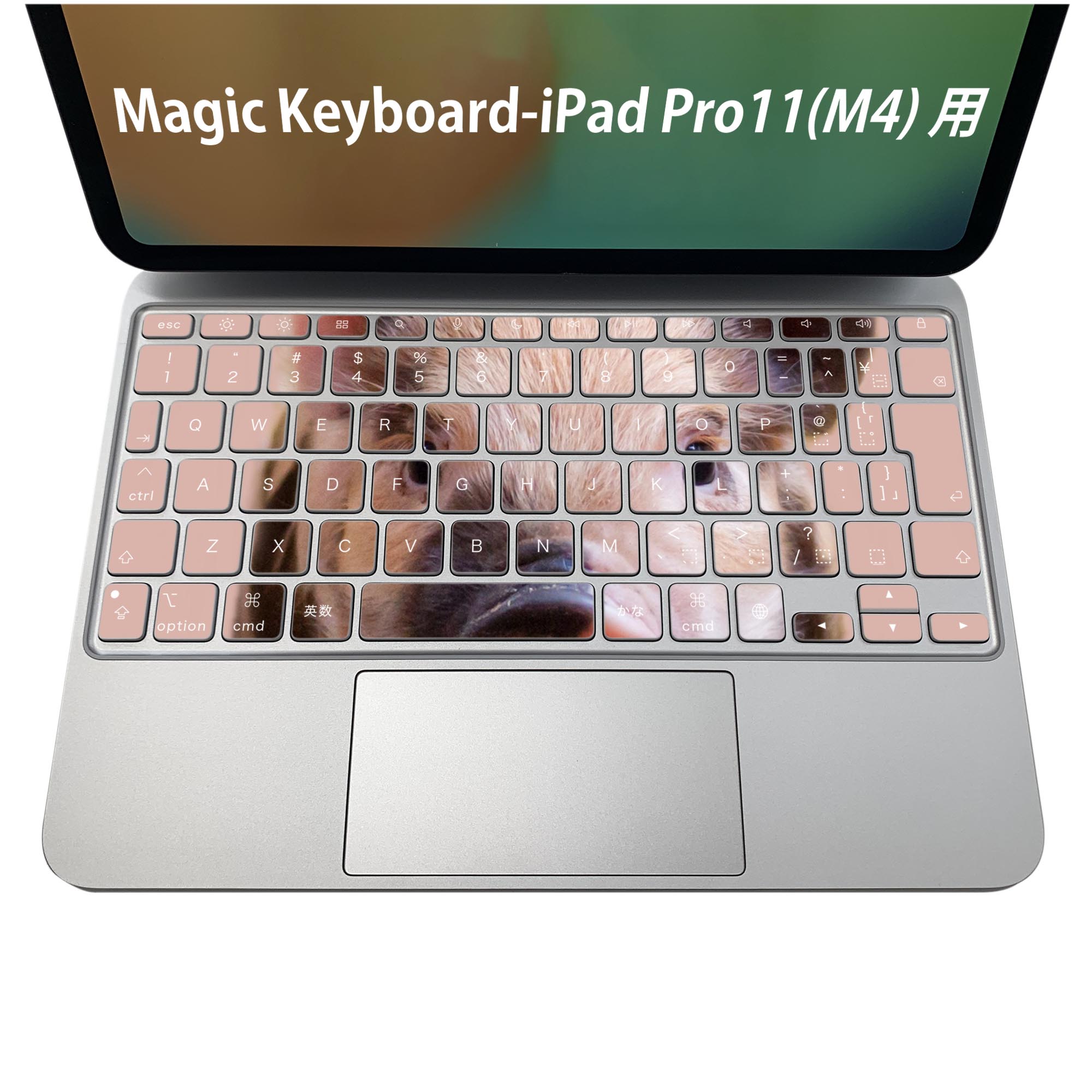 商品特徴・貼るだけでおしゃれに簡単着せ替え、iPadPro11・13（M4）Magic Keyboard KeyTop &nbsp; 全面デザインスキンシール！組み合わせ自由に選べるセット売り！・高精細プリントで写真と遜色がない仕上がり！ ...