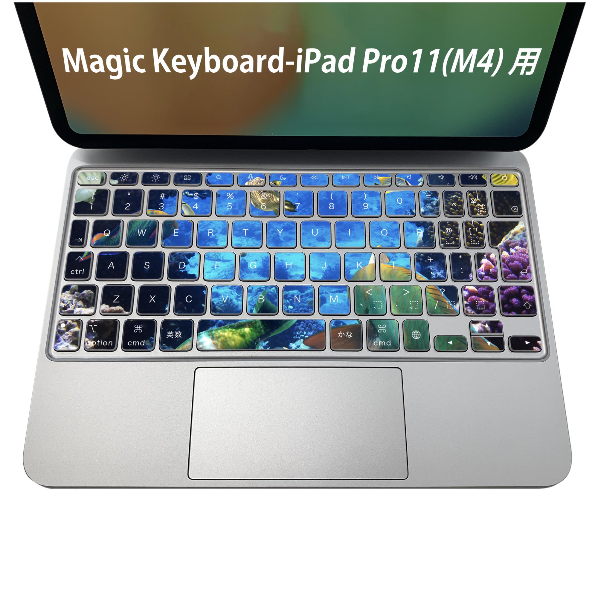 商品特徴・貼るだけでおしゃれに簡単着せ替え、iPadPro11・13（M4）Magic Keyboard KeyTop &nbsp; 全面デザインスキンシール！組み合わせ自由に選べるセット売り！・高精細プリントで写真と遜色がない仕上がり！ ...