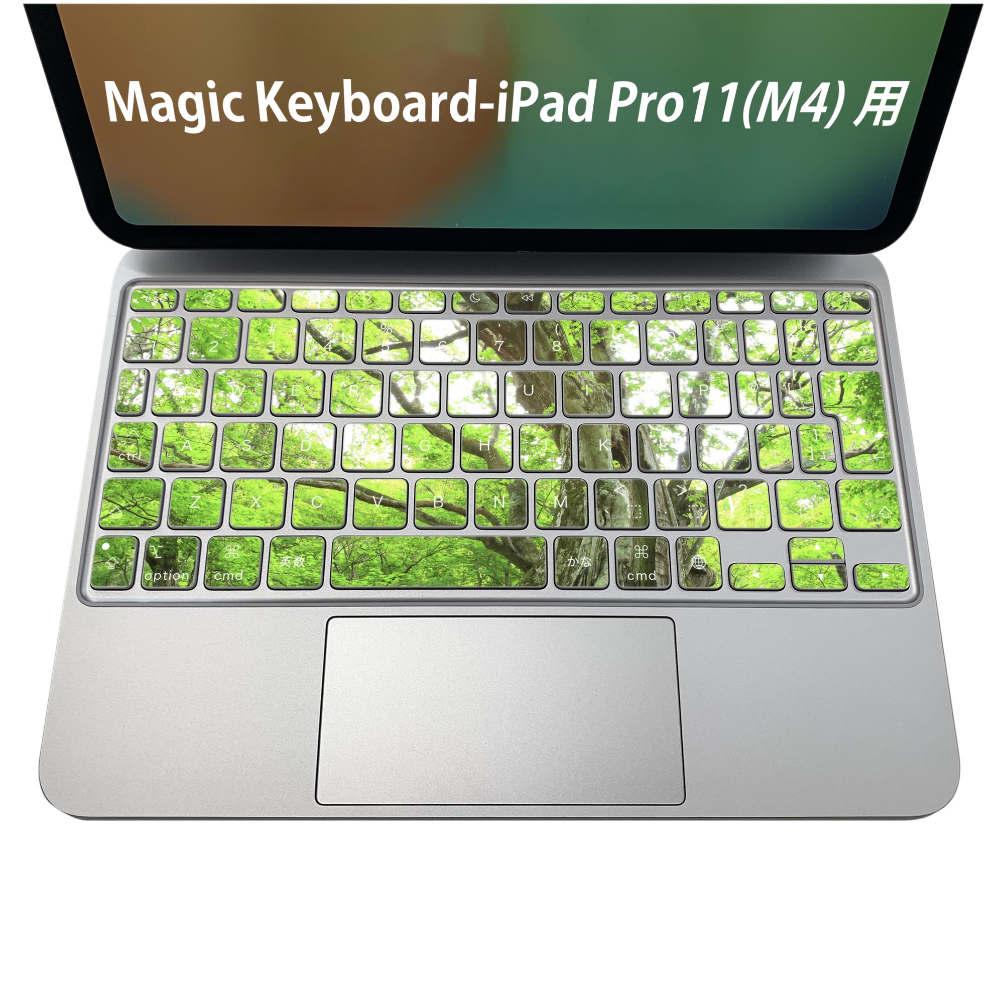 商品特徴・貼るだけでおしゃれに簡単着せ替え、iPadPro11・13（M4）Magic Keyboard KeyTop &nbsp; 全面デザインスキンシール！組み合わせ自由に選べるセット売り！・高精細プリントで写真と遜色がない仕上がり！ ...