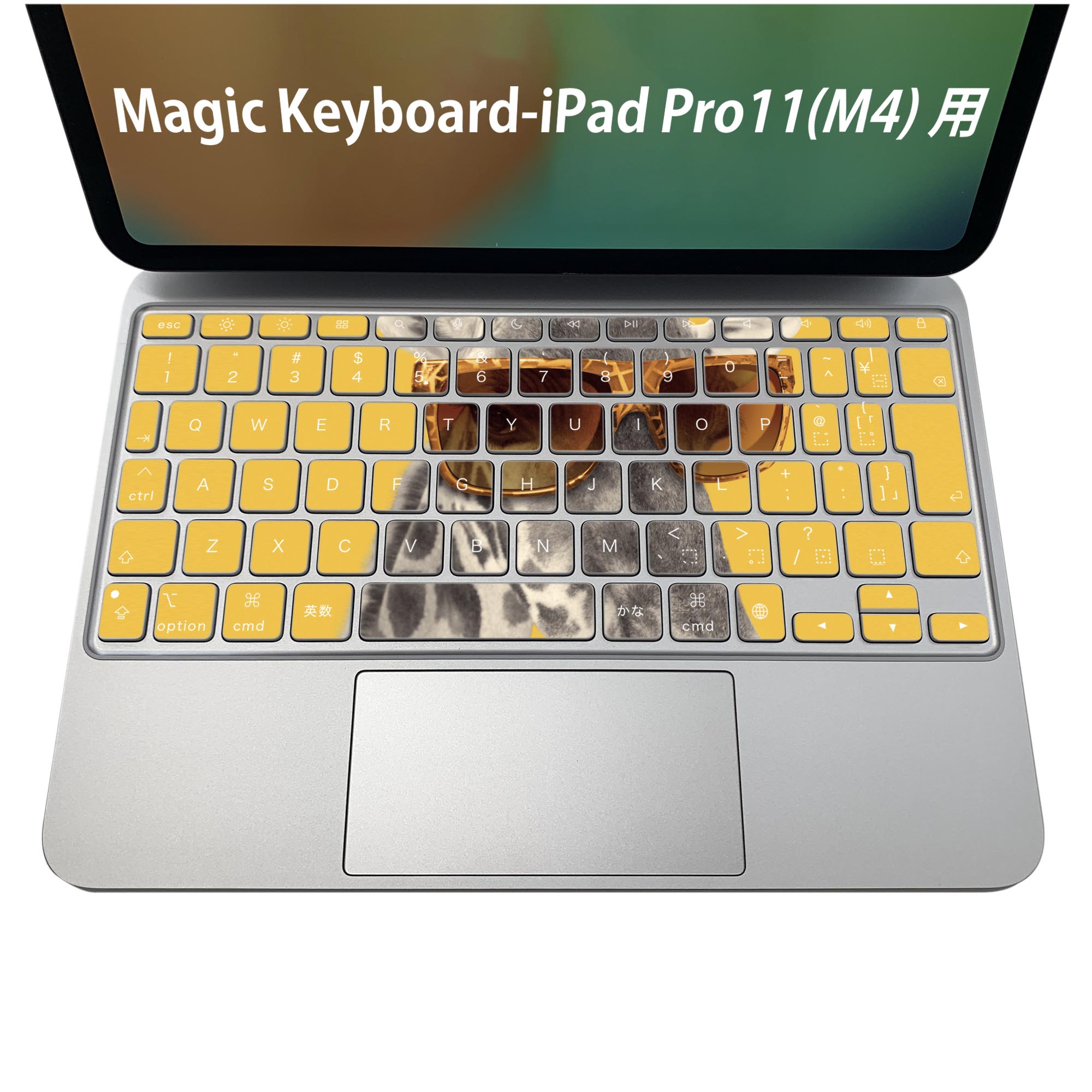 商品特徴・貼るだけでおしゃれに簡単着せ替え、iPadPro11・13（M4）Magic Keyboard KeyTop &nbsp; 全面デザインスキンシール！組み合わせ自由に選べるセット売り！・高精細プリントで写真と遜色がない仕上がり！ ...